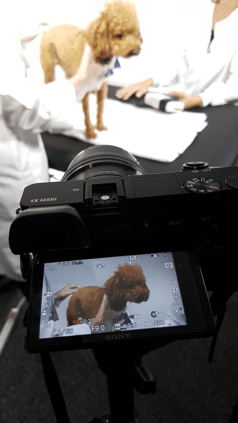 Scanning Live Animals with the Clarius C7 Veterinary Ultrasound Scanner ...
