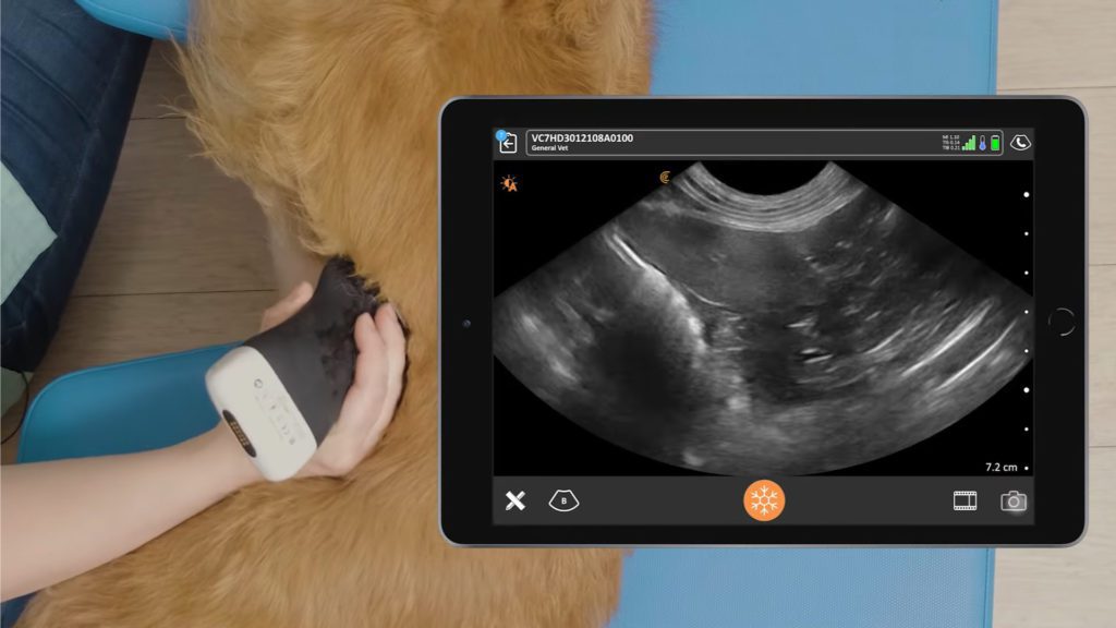[VIDEO] Voice Controls Make a “Huge Difference” When Scanning Small ...